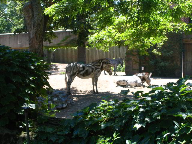 Lincoln-Park-Zoo-Chicago-018